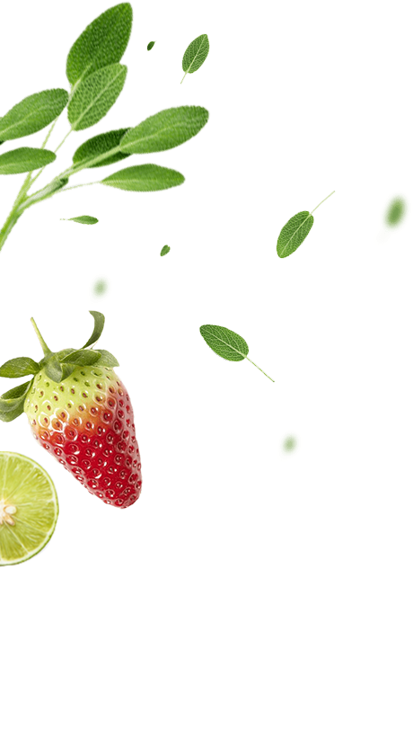 Agri Wave, votre ERP agroalimentaire made in Perpignan