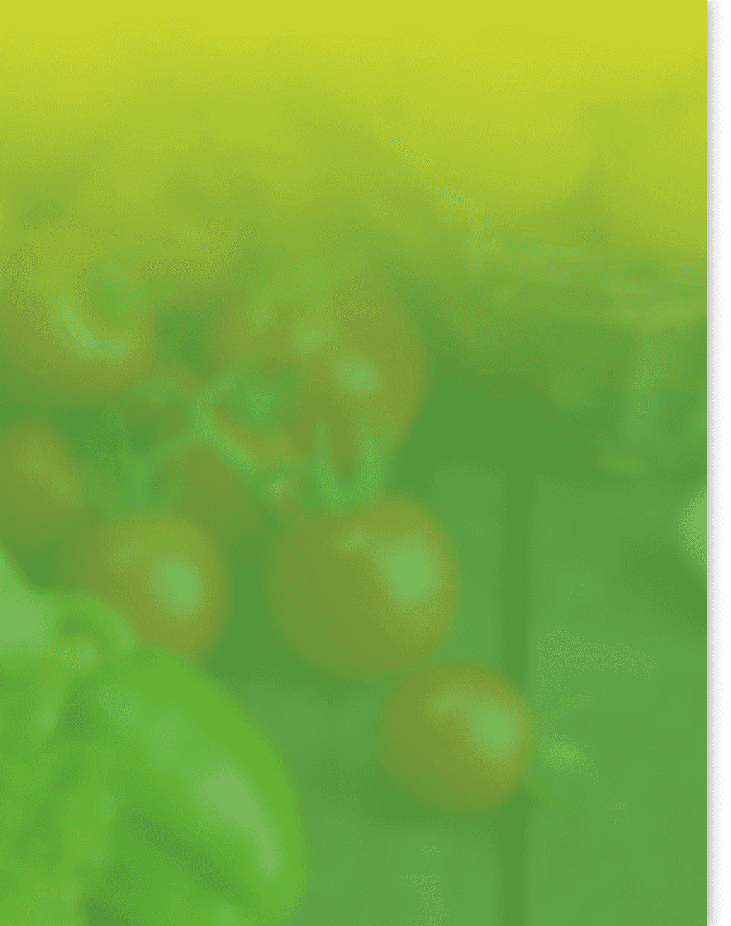 Agri Wave, votre ERP agroalimentaire made in Perpignan